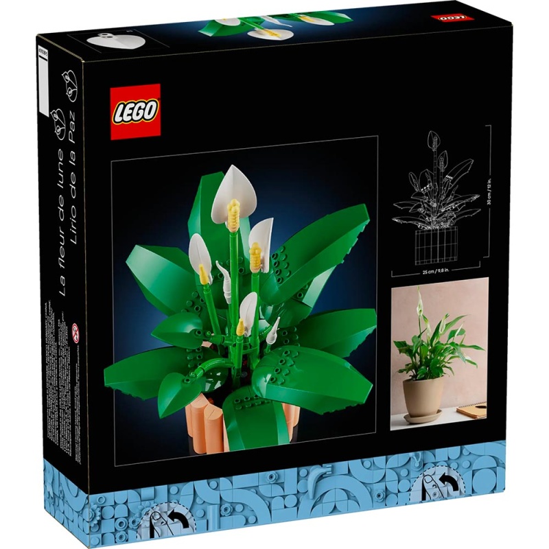 Les fleurs de lune - LEGO® Botanicals 11504 - Super Briques